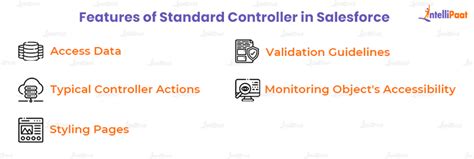 Standard Controller In Salesforce Features And Uses