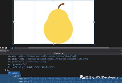 WPF 不支持 SVG 董川民