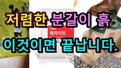 저렴한 분갈이흙⚪⚪이면 끝납니다마사토가격분갈이흙성분과 배합방법설명30l 9900원 저렴한흙원하시면 ⚪⚪이면 충분합니다succulent Plant 多肉植物 Cây