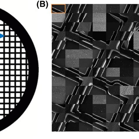 A Schematic Of The Automated Imaging Workflow For A Tem Grid Prepared Download Scientific