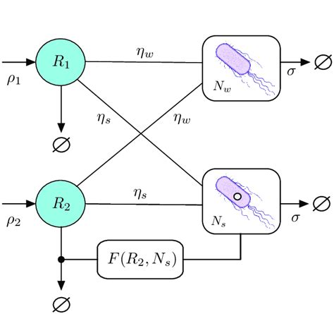 The Simplest Case Study Of The General RC Model Would Include Two Download Scientific Diagram