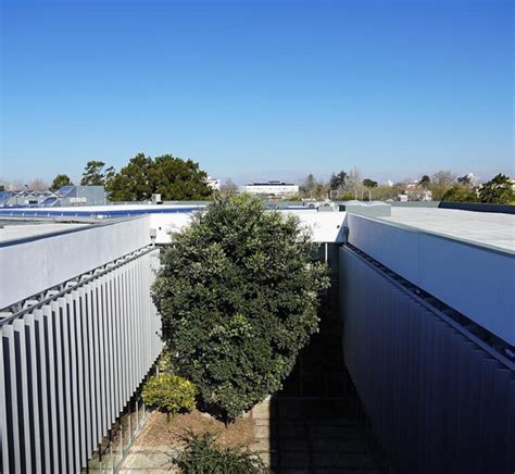 Isca Universidade De Aveiro Perícia