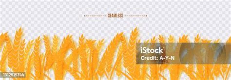 밀 귀 는 종이 스타일의 수평 원활한 테두리 농장 배너 디자인을위한 보리 수확 요소와 3d 농업 종이 접기의 그늘 종이 컷 벡터 그림과 함께 연속 황금 스파이크 밀에 대한