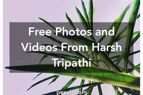 Harsh Tripathi Photography