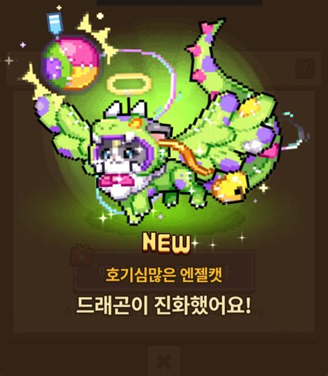 드래곤빌리지 컬렉션