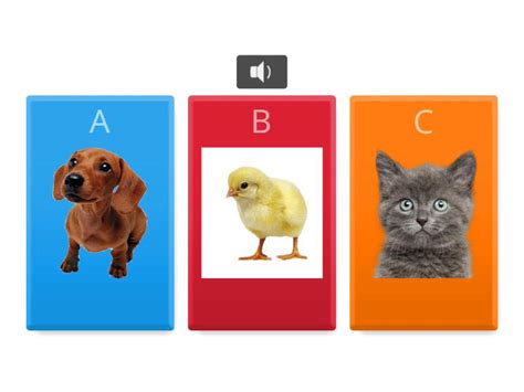 Aba Lrffc 6m Intraverbal Vs G1 Quiz