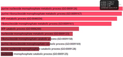Enrichr Go Biological Process Bp Download Scientific Diagram