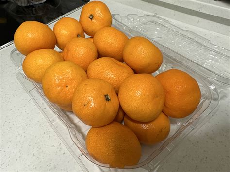 허니레빗 유용한 정보 시고 맛이 없는 귤 10분 투자하면 맛있는 귤로 변신