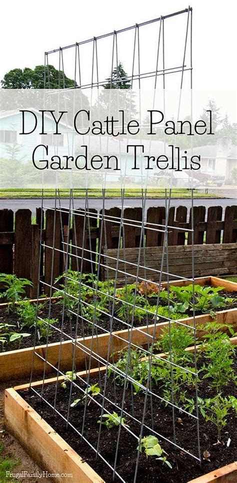 24 easy diy garden trellis projects you can do this weekend diy