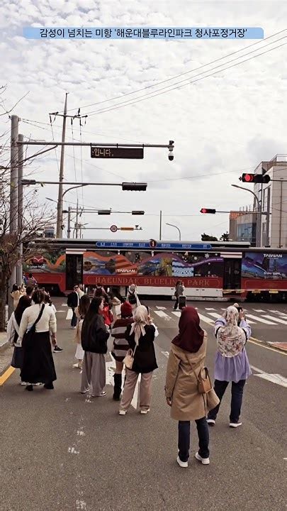 부산 해운대 핫플 슬램덩크 감성 포토스팟 청사포 정거장 Youtube