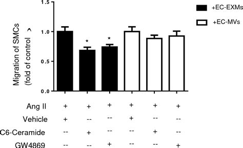 Figure 10 From Endothelial Cell Derived Microvesicles And Exosomes