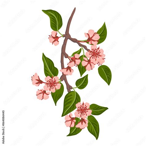 Vector Drawing Tree Branch With Flowers And Green Leaves Isolated At White Background Hand
