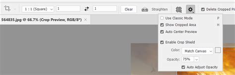 solved not able to crop specific area of an image to size adobe