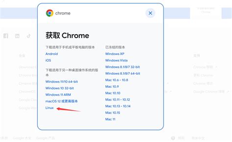 Linux 秒 安装谷歌浏览器 区分ubuntu和centos 给python爬取网站使用 Csdn博客