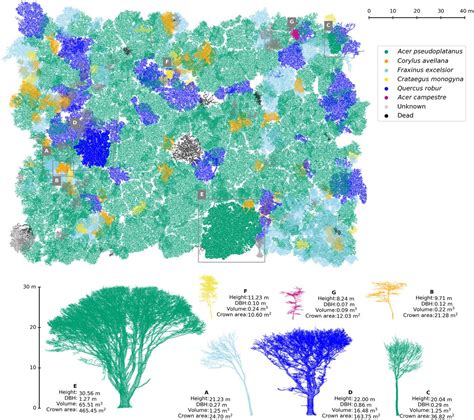 Global Tls Network — Smart Forests Atlas