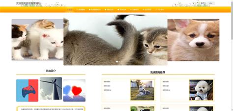 基于springboot开发的流浪猫狗救助救援网站系统毕设宝源码网