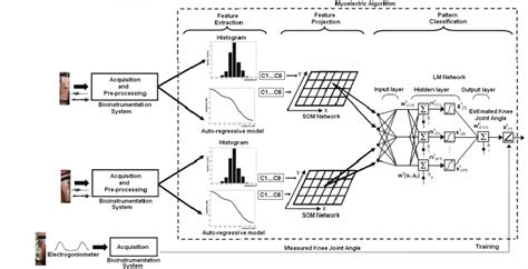 Block Diagram Of The Proposed Knee Joint Angle Estimation Algorithm