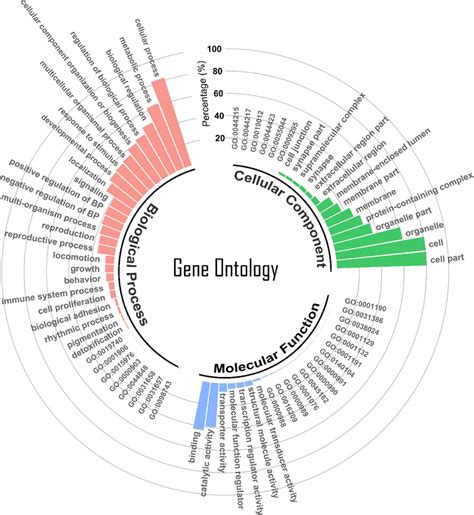 Gene Ontology Classification Of The E Heros De Novo Transcriptome