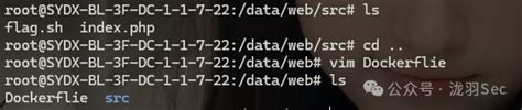 如何在gzctf部署简单的web和pwn动态flag？ cn sec 中文网