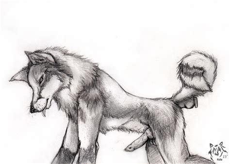 Rule 34 2013 All Fours Anal Anal Sex Animal Genitalia Animal Penis