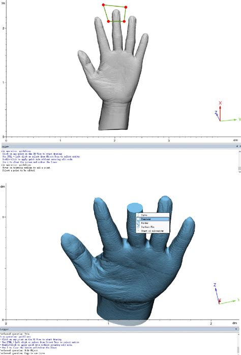 5 Process Of Circumference Measurement Download Scientific Diagram