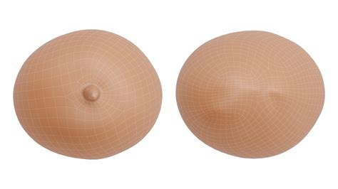 Mango Model TurboSquid 1962122