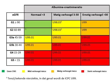 Diabetisch Nefropathie Chronische Nierschade Ketenzorg Friesland