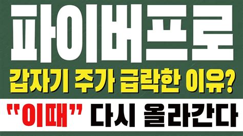 파이버프로 주가전망 갑자기 주가 급락한 이유 이때 다시 올라간다 Youtube