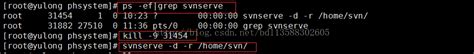 Svn客户端提交项目代码后自动同步svn服务器上的项目代码到linux服务器上linux Svn客户端实时同步 Csdn博客