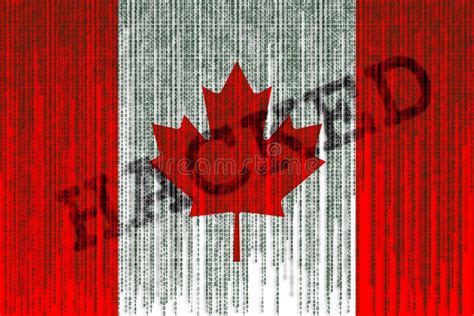 Data Hacked Palestine Flag Palestinian Flag With Binary Code Stock Illustration Illustration