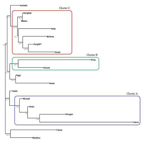 phylogenetic tree constructed by the neighbor joining algorithm using