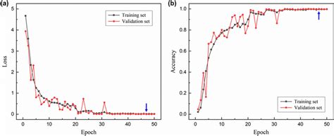 Training Results Of The Designed Cnn A Loss And B Accuracy Curves