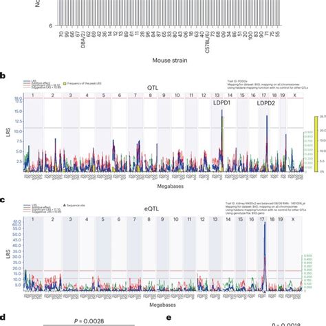 Application Of Scanning Ion Conductance Microscopy Imaging A Freshly