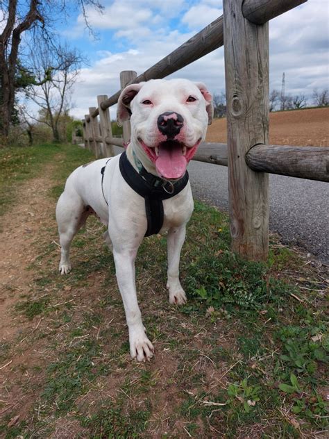 Pulko One Refuge Des Bérauds