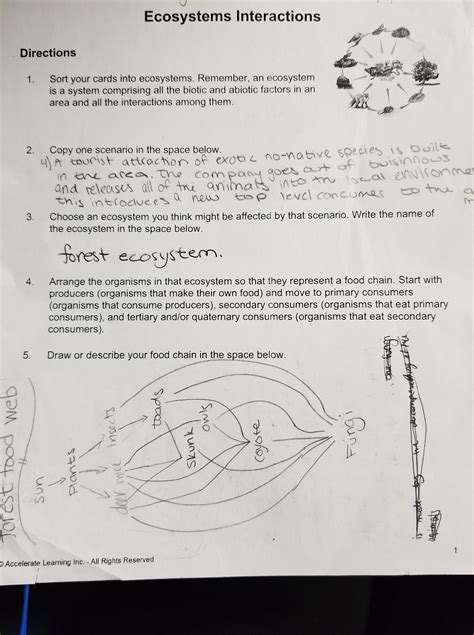 Accelerate Learning Worksheet Answers 7th Grade Science
