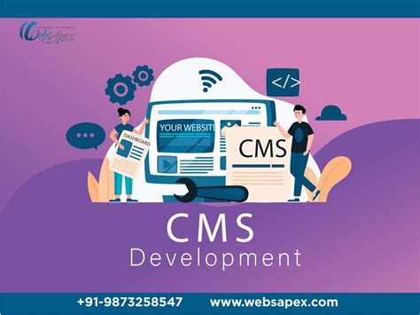 Websapex E Commerce Web Design And Web Development Company In Delhi