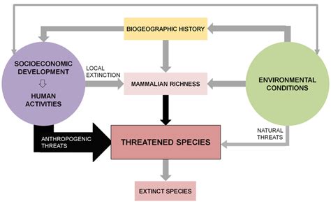 1 Conceptual Framework Describing The Different Factors That Determine
