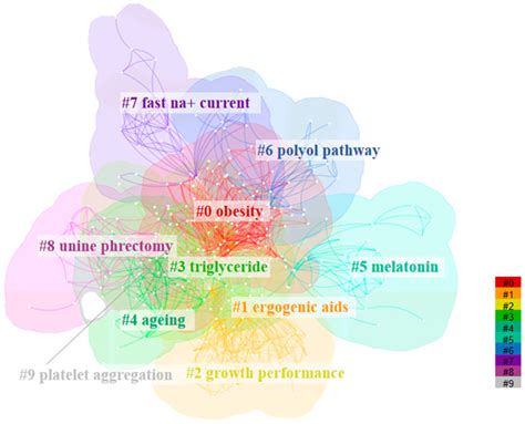 Cluster Map Of Keywords On Taurine Carnosine Anserine And Creatine Download Scientific