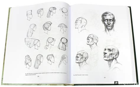 Основы Академического Рисунка Jurang