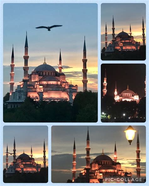 Istanbul Aline Dobbie