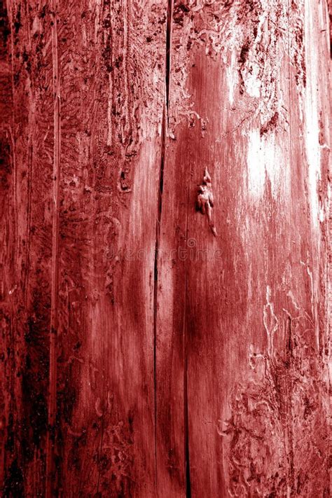 Bark Of Old Tree Texture In Red Tone Stock Photo Image Of Silver Backdrop