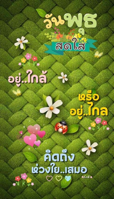สวัสดีวันพุธ รัก คิดถึง ห่วงใย มีภาษาอังกฤษ มีแบบ  ใหม่ โหลดฟรี