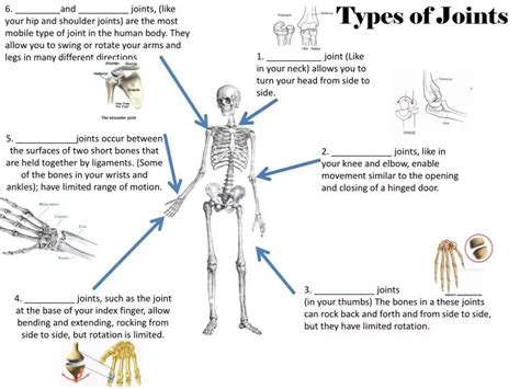 PPT Types Of Joints PowerPoint Presentation ID