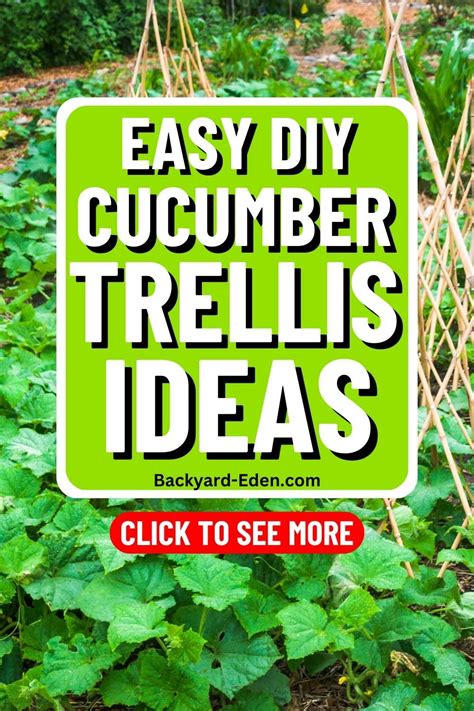 Easy Diy Cucumber Trellis Ideas To Make The Most Out Of Your Garden Backyard Eden