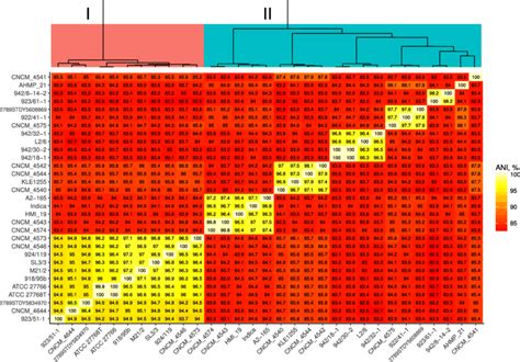 Blastn Based Average Nucleotide Identity Anib Between Available 31