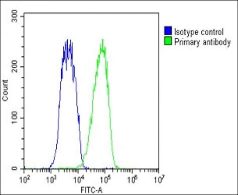 Bap1 Antibody Pa5 12061