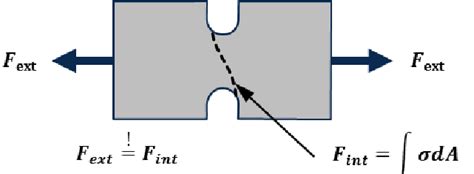 Equilibrium Of Internal And External Forces Download Scientific Diagram