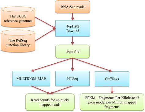 The Workflow Of Mapping Rna Seq Reads To A Reference Genome And