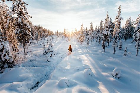 Best Winter Activities For Lapland Sweden