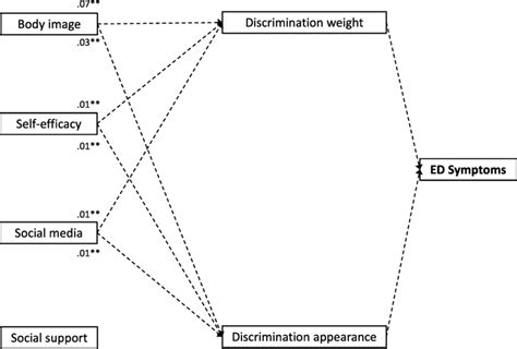 standardized regression coefficients indicating the indirect effects of